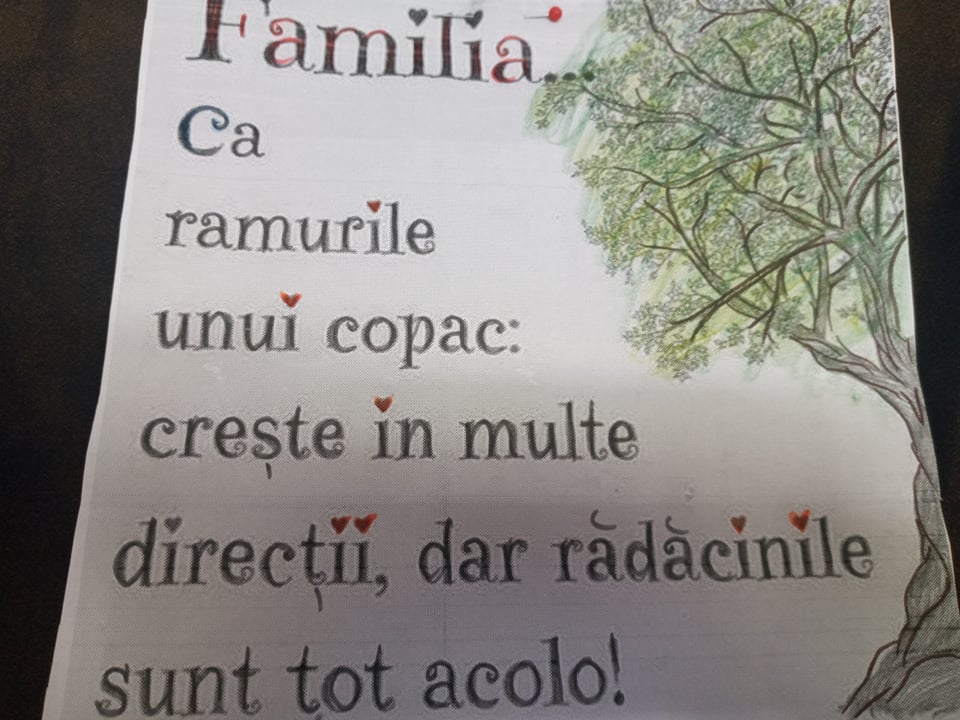15 Mai- Ziua Internațională a Familiei | Liceul Teoretic ”Emil Nicula ...