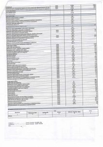 Bugetul 2022 | Liceul Teoretic ”Emil Nicula” s. Mereni r-nul Anenii Noi